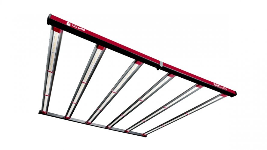 Caluma LED Force Pro 630W kaufen